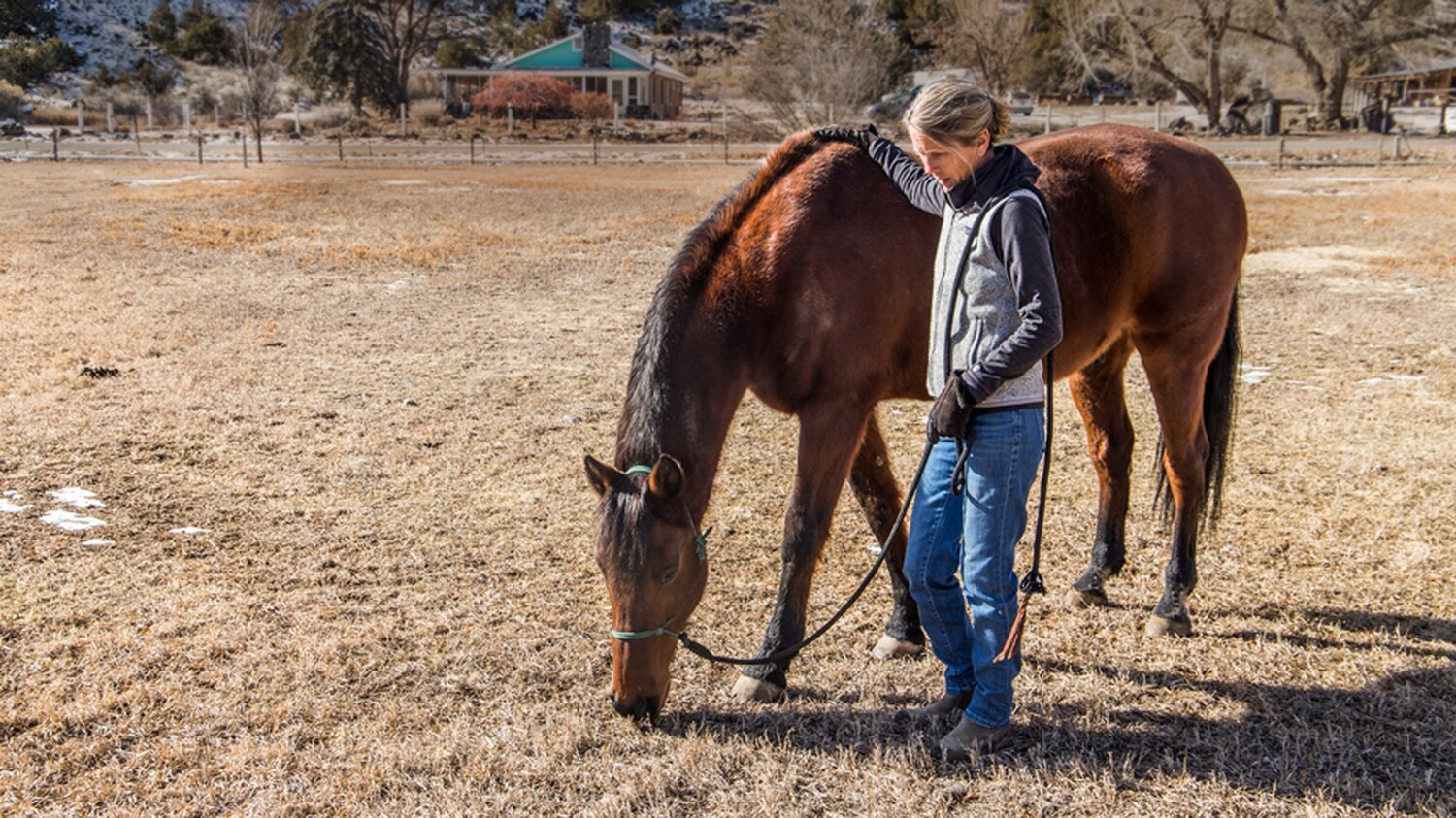 Press - Ginger Gaffney